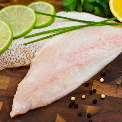 Fin-Fish - Fabulous Fish